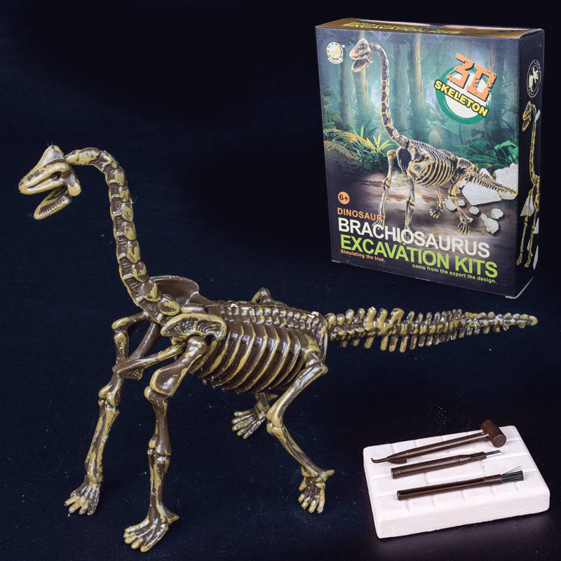 diy 3d dinosaurus skelet t-rex archeologisch opgraving speelgoed stego – 123materialen